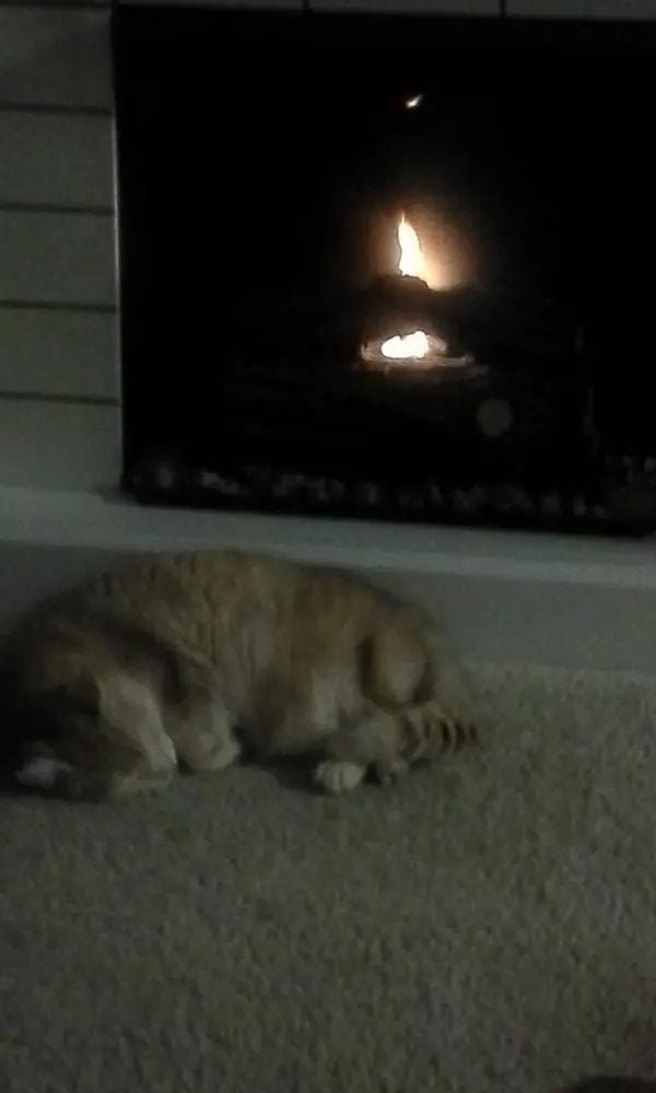 Terra Flame Clean Burning Fire Gel: The Comprehensive Guide You Need