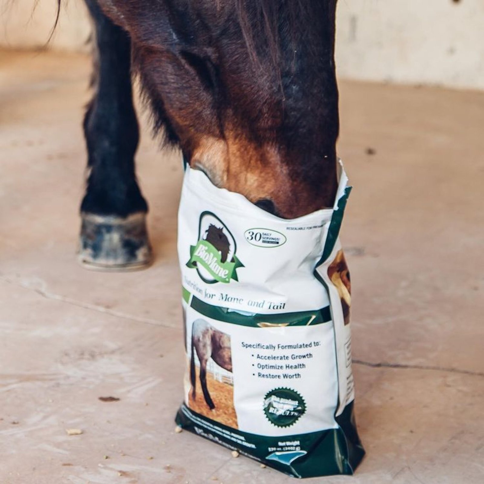 BioMane Reviews: Is It Safe & Effective To Grow Mane & Tail?