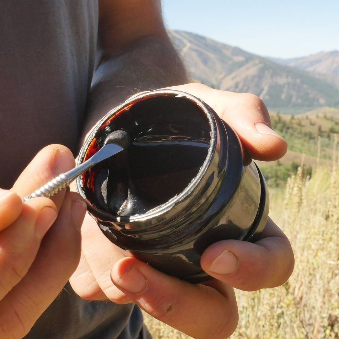 Pure Himalayan Shilajit Reviews: What You Need to Know Before Buying